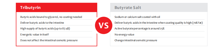Tributyrin - NIKI CHEMIE LTD