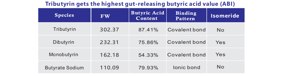 Tributyrin - NIKI CHEMIE LTD