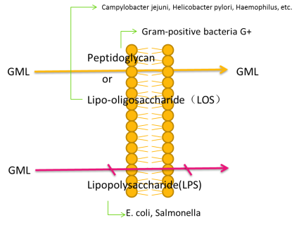 Monolaurin - NIKI CHEMIE LTD